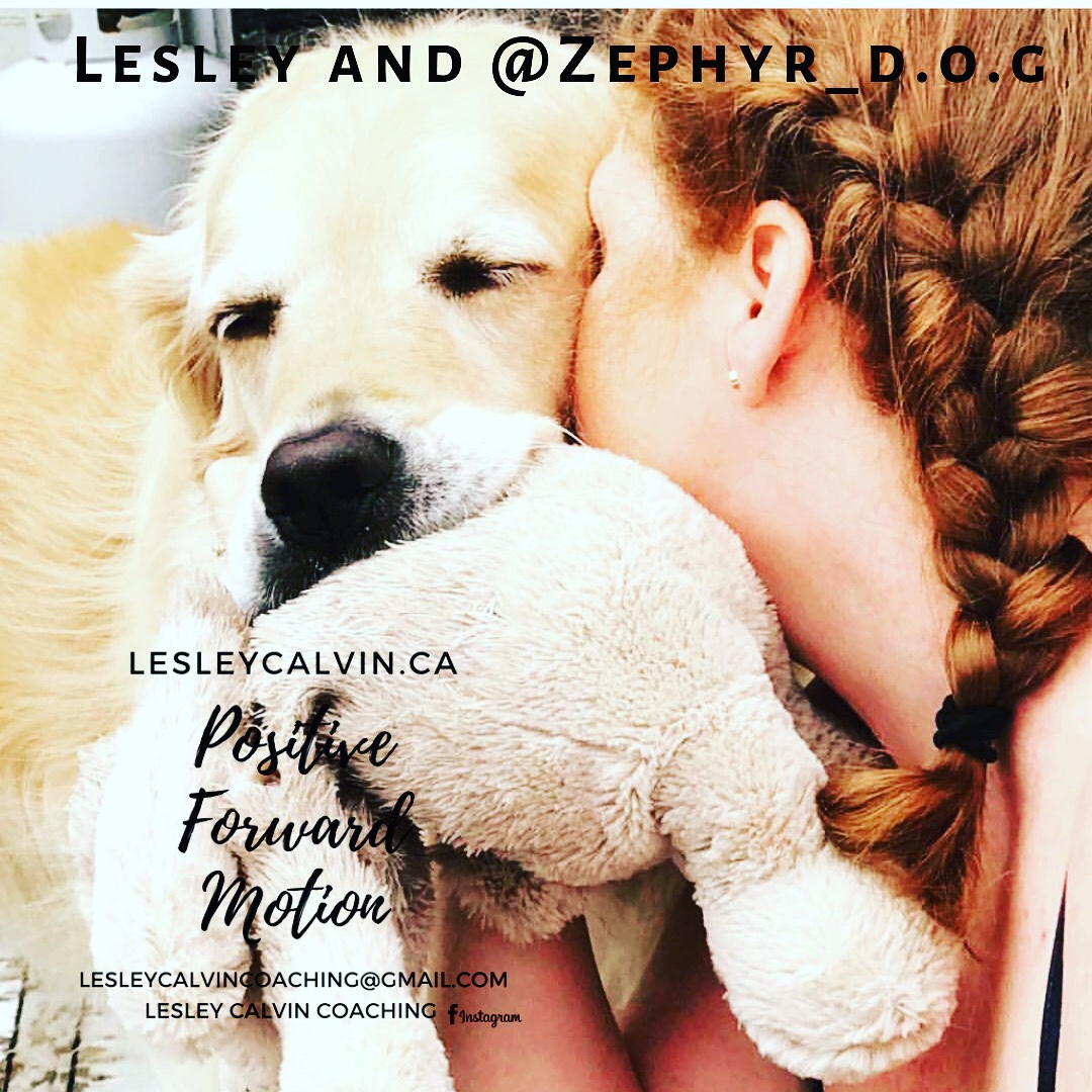 MBTI Fun ~ Types as dogs | Blog – Lesley Calvin Coaching, Facilitation ...